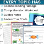 photosynthesis and cellular energy with the cycling of matter and ...