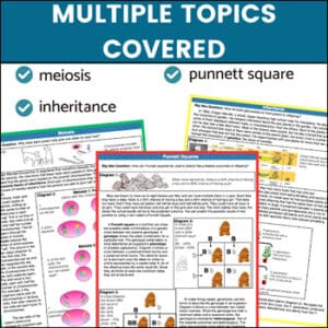 Science Reading Comprehension: Genetics | Heredity | Punnett Squares ...