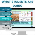 Life Science digital interactive notebook activities bundle including ...