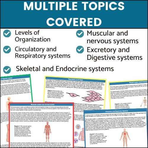 Human Body Levels of Organization Reading: Cells, Tissues, Organs ...